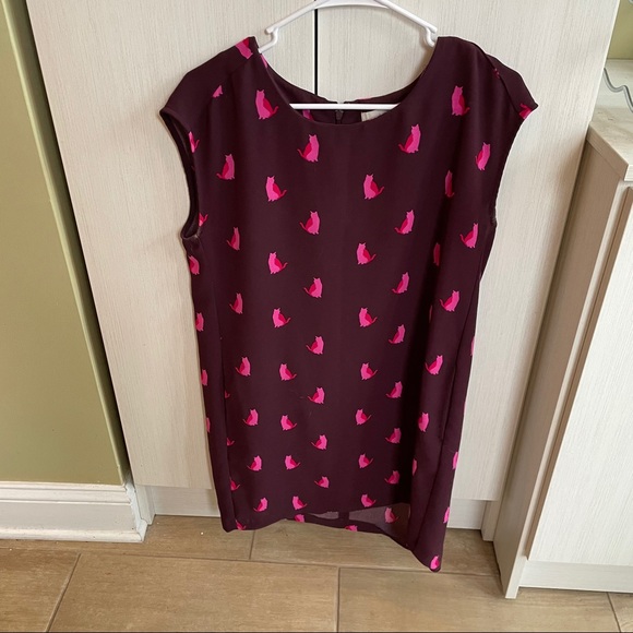 LOFT | Dresses | Cat Dress From Loft | Poshmark